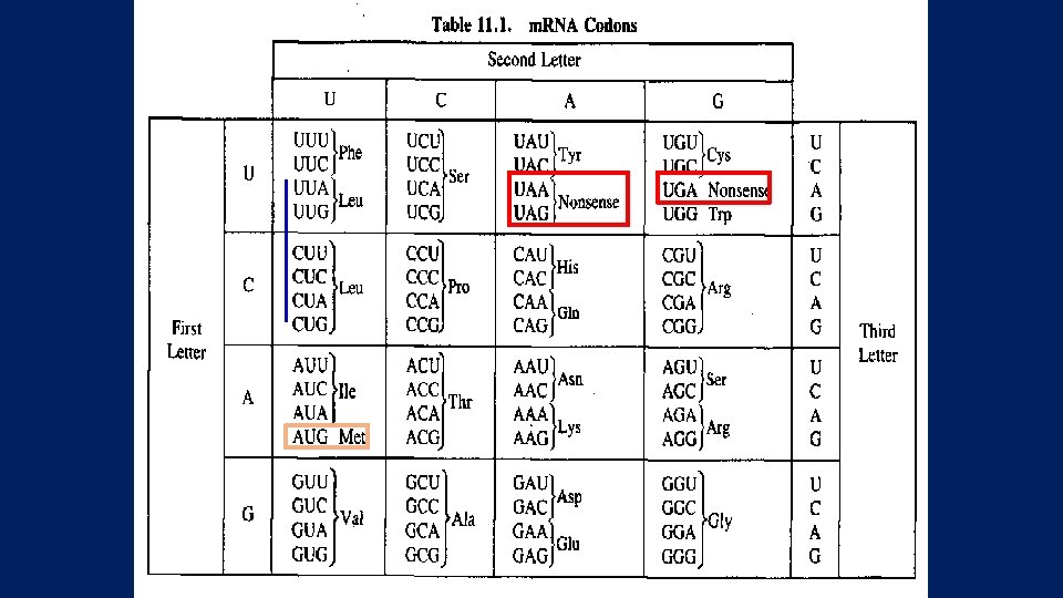 Lesson 36 Gene Expression The Genetic Code Central