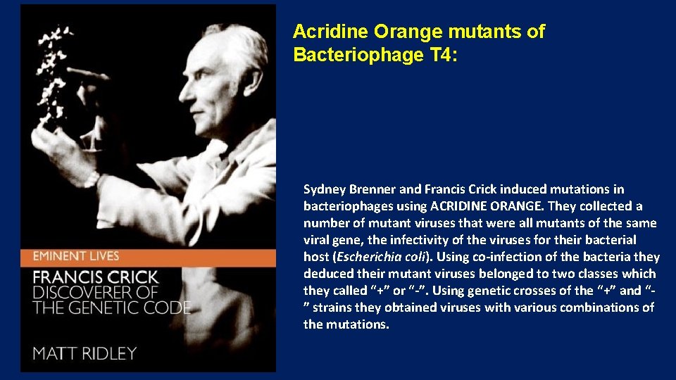 Lesson 36 Gene Expression The Genetic Code Central