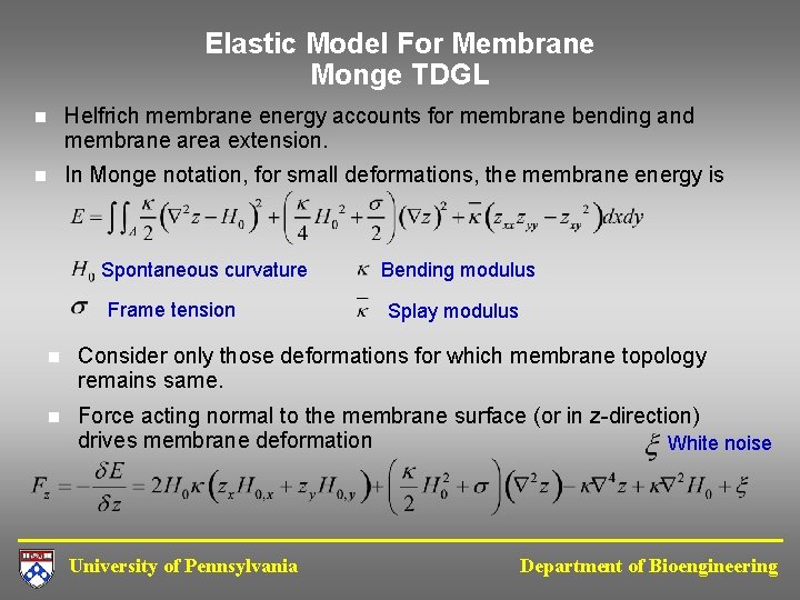 Hybrid Models For ProteinMembrane Interactions At Mesoscale Bridge