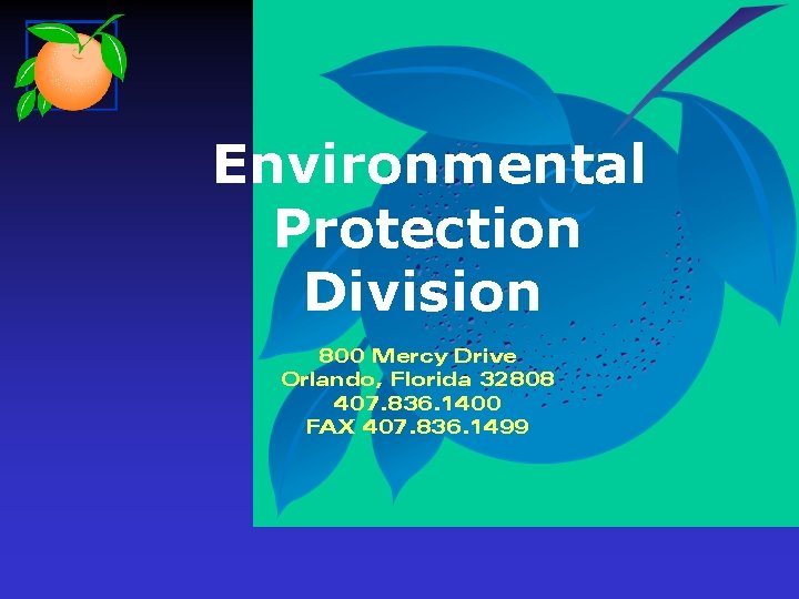 Environmental Protection Division Appeal for a Binding Letter