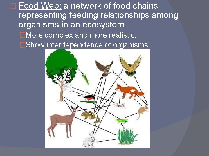 MATTER AND ENERGY IN THE ECOSYSTEM Biotic Factors
