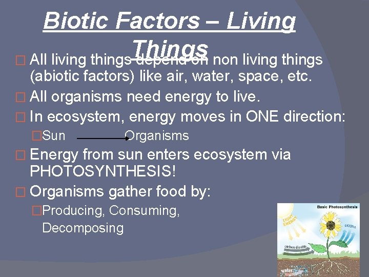 MATTER AND ENERGY IN THE ECOSYSTEM Biotic Factors