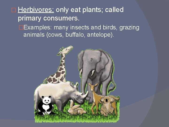 MATTER AND ENERGY IN THE ECOSYSTEM Biotic Factors