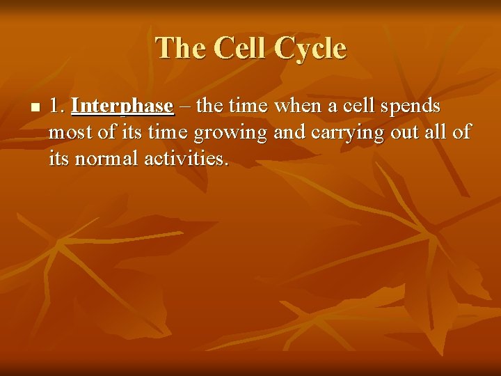 The Cell Cycle n 1 Interphase the time