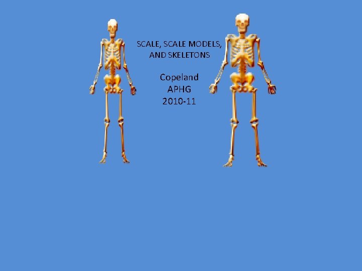 SCALE SCALE MODELS AND SKELETONS Copeland APHG 2010