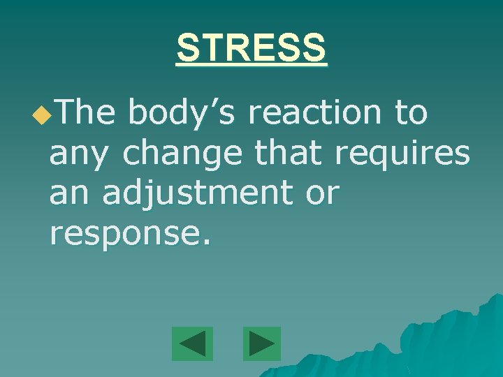 Stress and The Human Body A look at