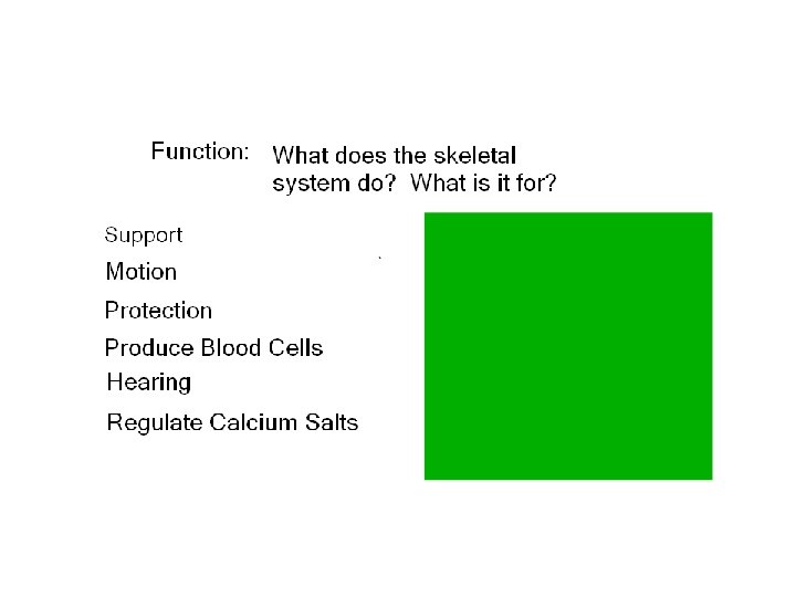 Brain pop Bone photos http homes bio psu