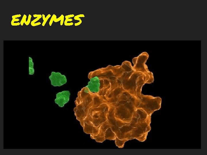 ENZYMES Definition of Enzymes A type of protein