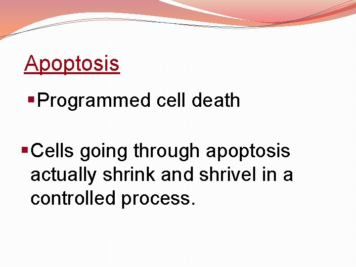 Regulating the Cell Cycle Section 9 3 Normal