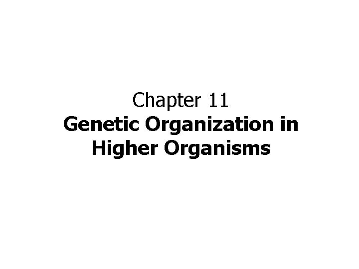 Chapter 11 Genetic Organization in Higher Organisms Mitochondria