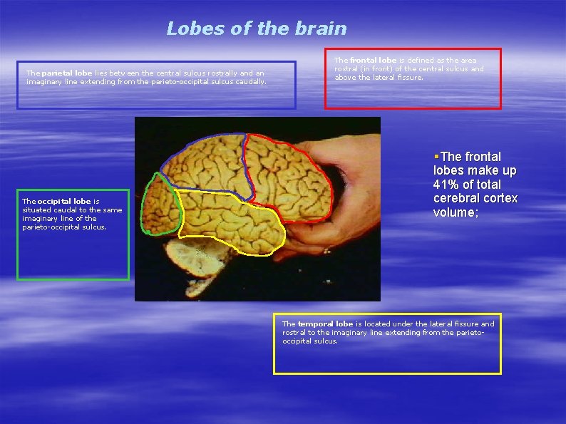 Men ought to know that from the brain