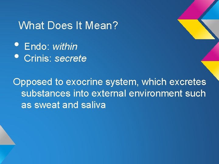 The Endocrine System By Jonathan Gonzalez Aaron Mednick