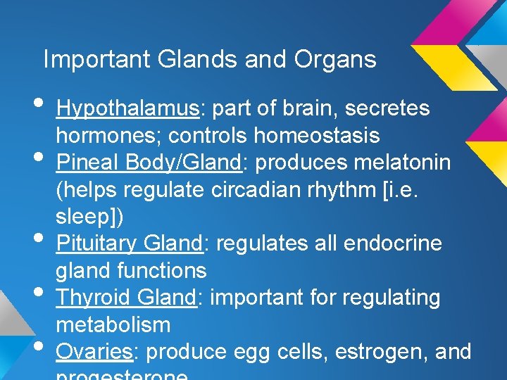 The Endocrine System By Jonathan Gonzalez Aaron Mednick