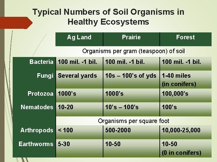 Soil Microbes and Nutrient Cycle Soil Food Web