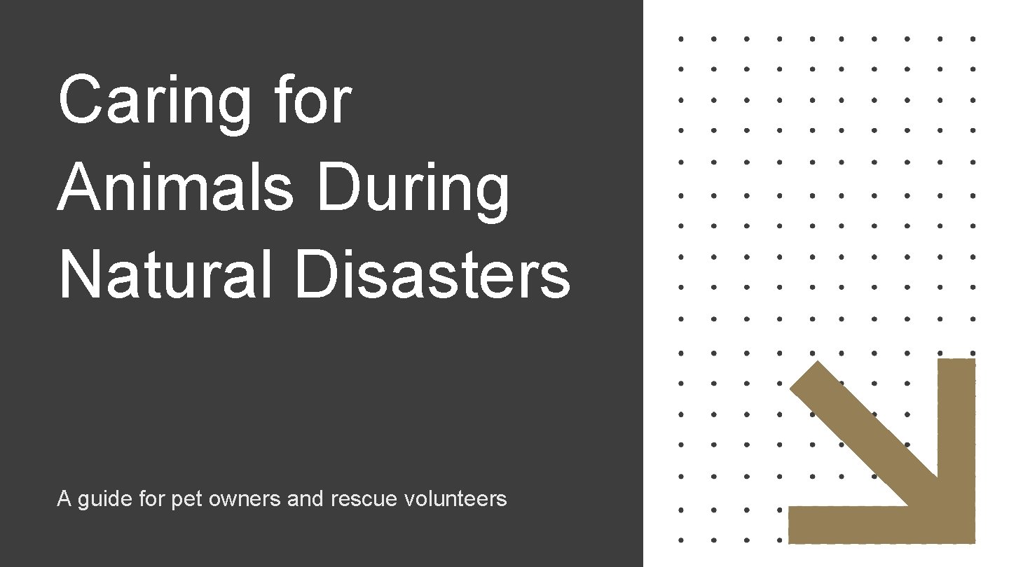 Caring for Animals During Natural Disasters A guide