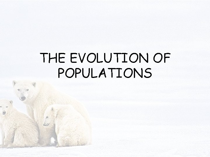 THE EVOLUTION OF POPULATIONS WHAT IS A POPULATION
