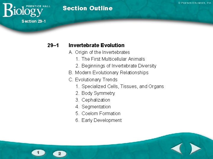 Interest Grabber Section 29 1 Seeing Symmetry A