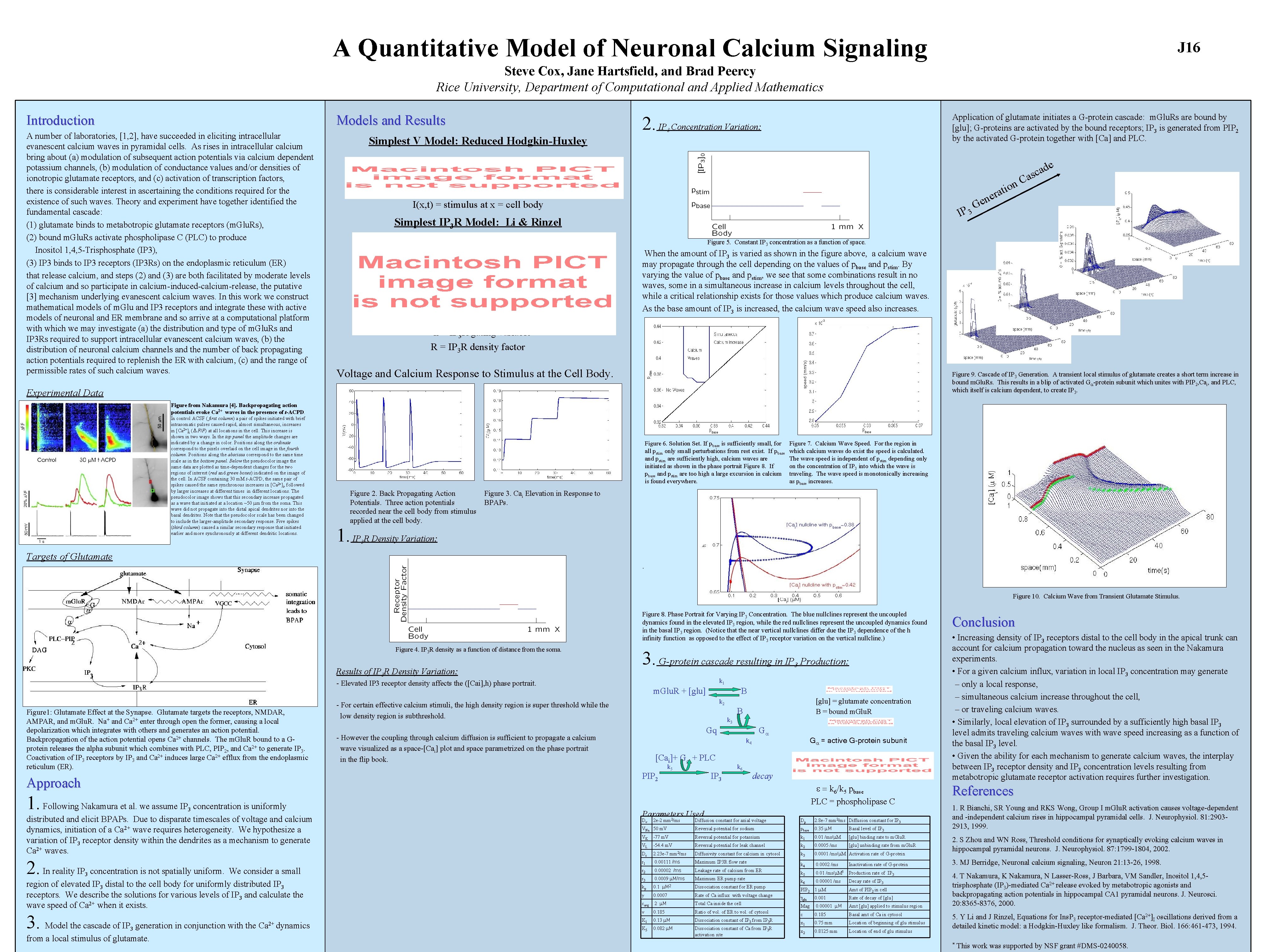 A Quantitative Model of Neuronal Calcium Signaling J