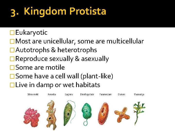 6 Kingdoms p 325 329 3 Domains of