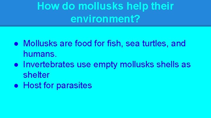 Mollusks Zayra Gonzalez Gabriela Aguinaga Jonny Carmona Characteristics