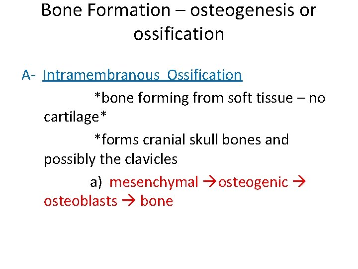 SKELETAL SYSTEM Osteology study of bones Bone is