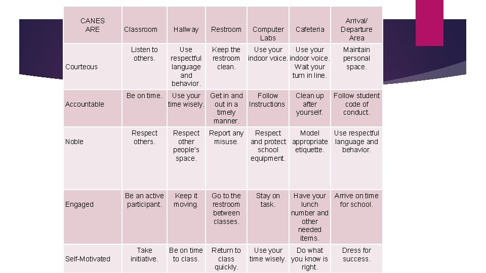 CANES Program 101 What is the CANES program