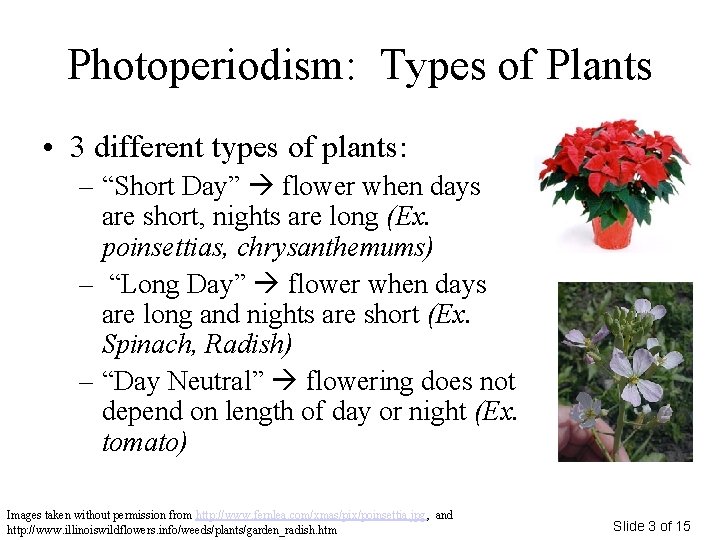 Photoperiodism Gravitropism and Thigmotropism AP Biology Unit 5