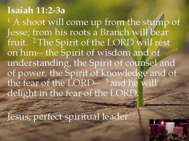 Gods Enduring Love Isaiah 11 1 10 Pastor