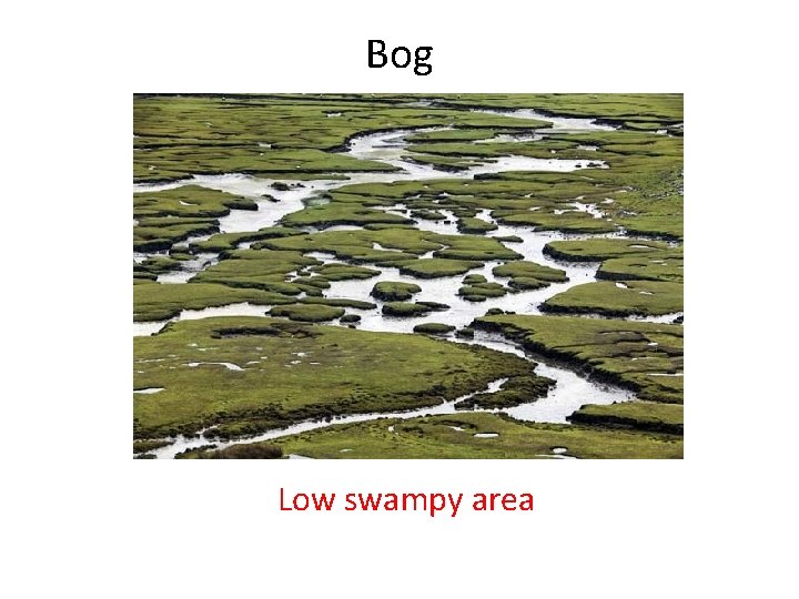Chapter 6 European Geography Vocabulary Mr Greaser Constitutional