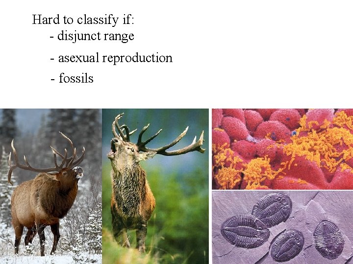 Speciation Darwin explained evolution but didnt do so