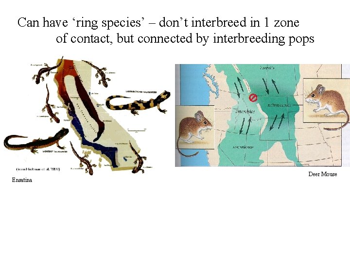 Speciation Darwin explained evolution but didnt do so