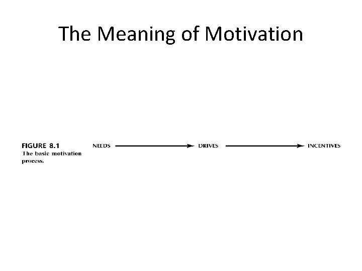 Motivation The Meaning of Motivation Primary Motives Human