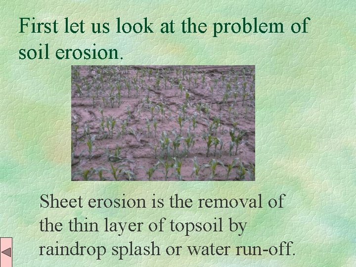 Soil Conservation By W Batke Activity Teacher Notes