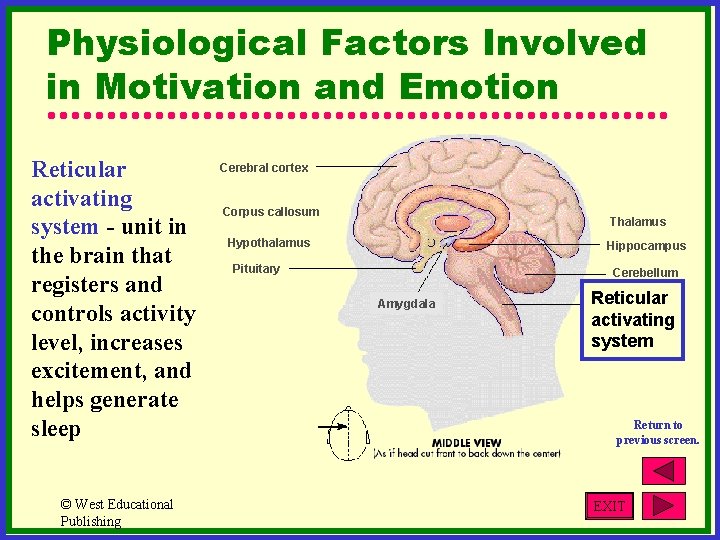 CHAPTER Motivations and emotions are guided by physical