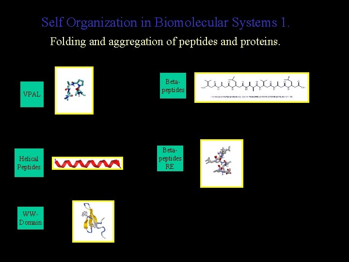 Simulations of the folding and aggregation of peptides