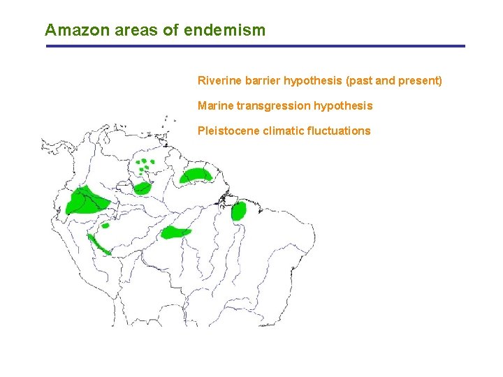 Pleistocene History of Amazonian Birds as Reconstructed by