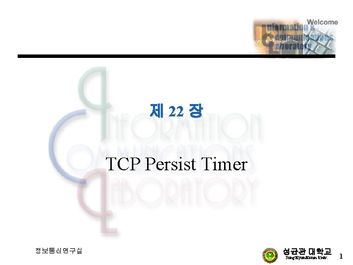 22 TCP Persist Timer Sung Kyun Kwan Univ