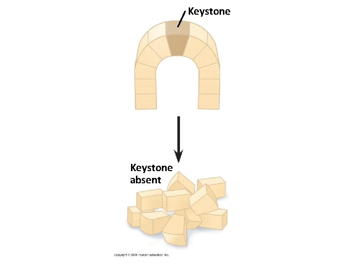 Ecology Introduction A Tale of Two Fishes Population