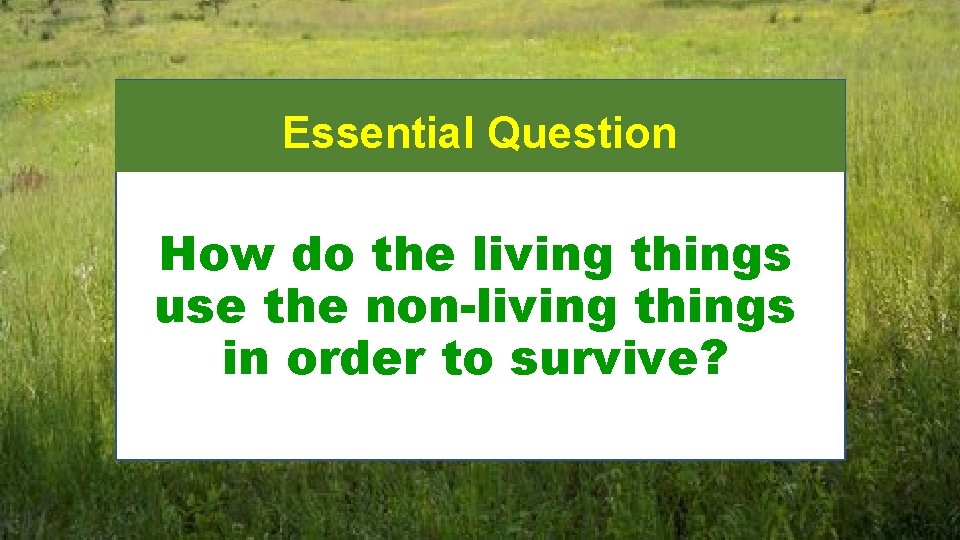 Essential Question How do the living things use