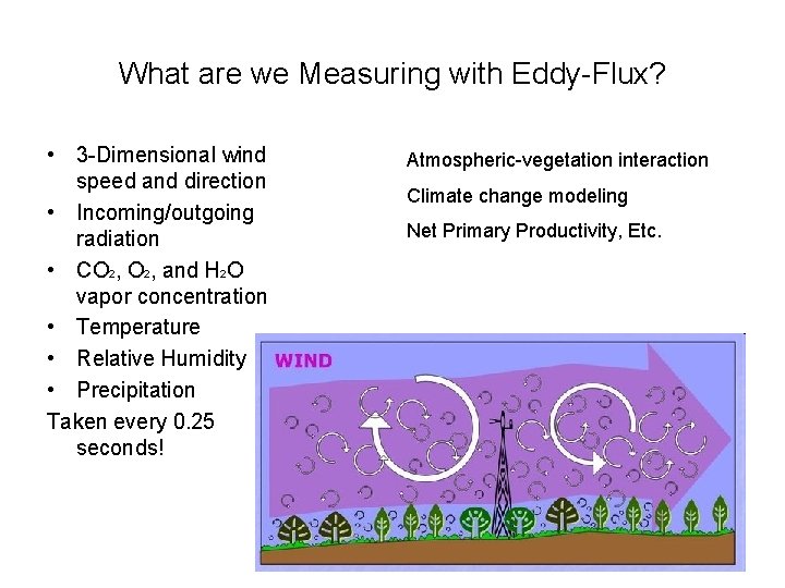 What are we Measuring with EddyFlux 3 Dimensional
