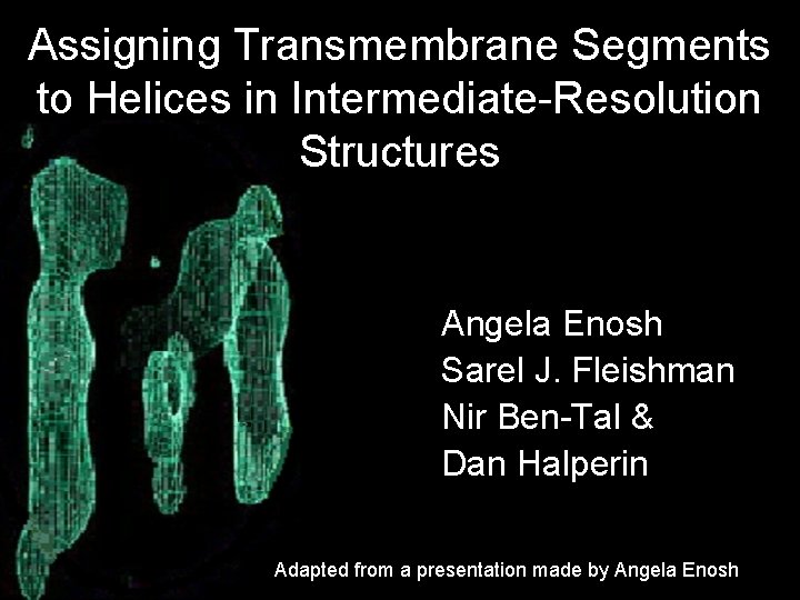 Assigning Transmembrane Segments to Helices in IntermediateResolution ...