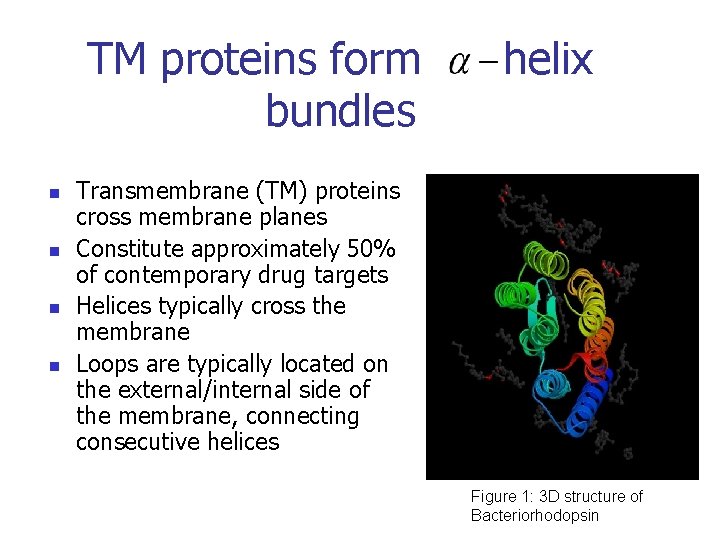 Assigning Transmembrane Segments to Helices in IntermediateResolution ...