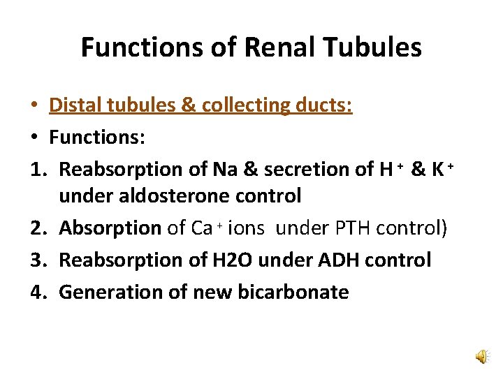 Physiology of Renal System Functions of Renal Tubules