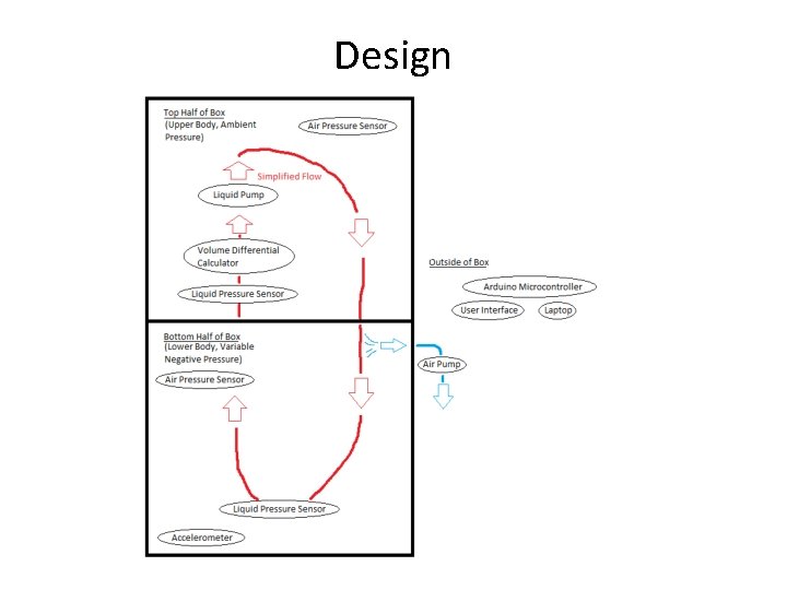 Team Pioneer Gravity and the Human Cardiovascular System