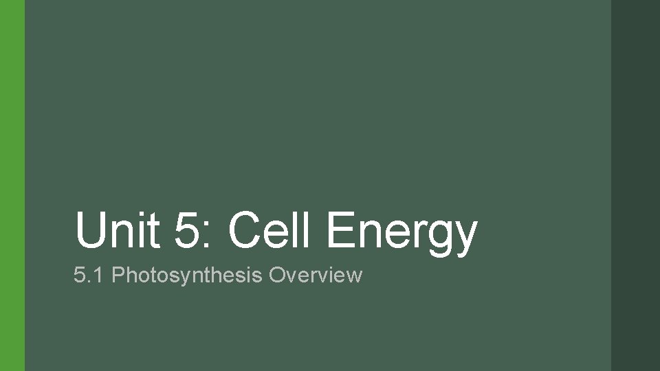 Unit 5 Cell Energy 5 1 Photosynthesis Overview