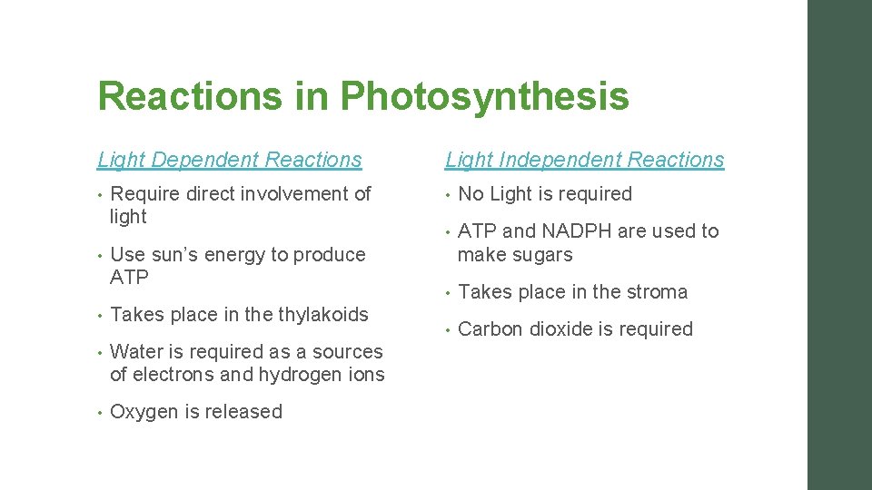 Unit 5 Cell Energy 5 1 Photosynthesis Overview