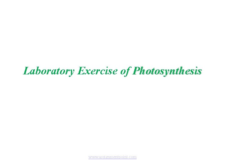 Laboratory Exercise of Photosynthesis www assignmentpoint com Exercise