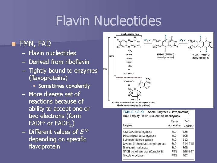 Oxidative Phosphorylation Oxidative Phosphorylation Final step of cellular