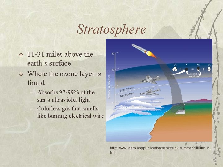 From the Inside Out The zones of the