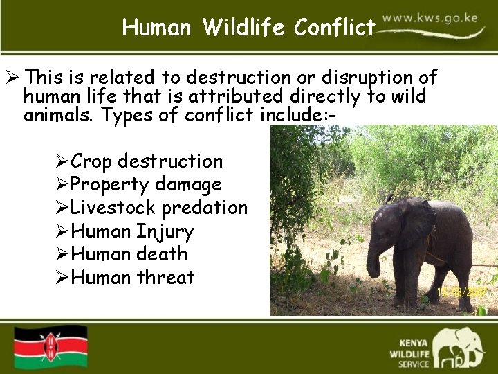 COMMUNITY BASED WILDLIFE CONSERVATION AREAS Creating and Marketing